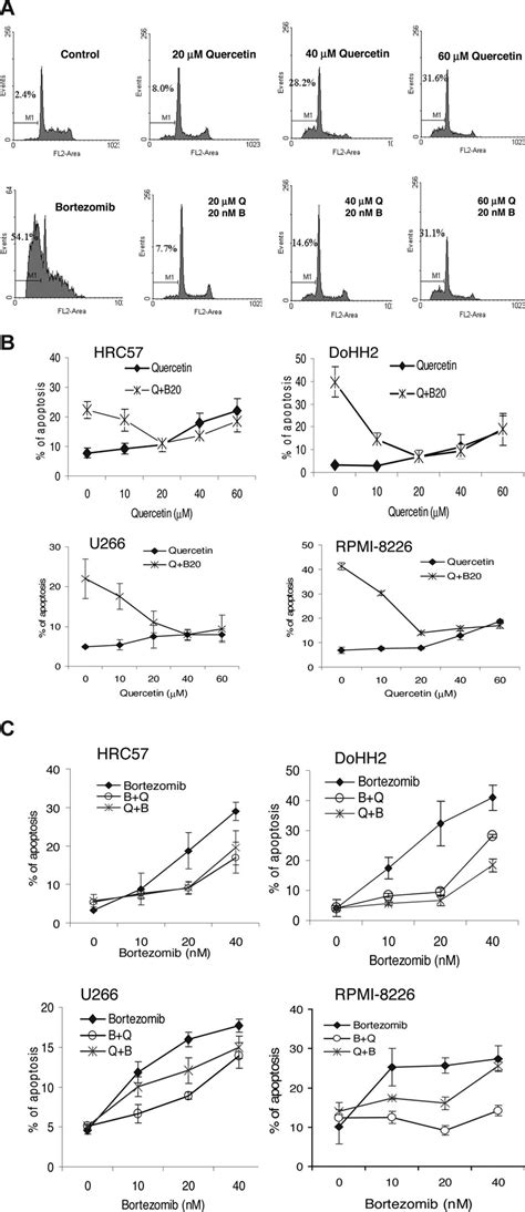 Inhibitory Effect Of Quercetin On Bortezomib Induced Apoptosis A