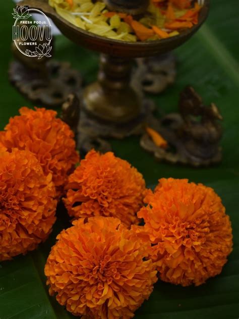 Hoovu Fresh Flower Fresh Flowers Marigold Flower Flowers