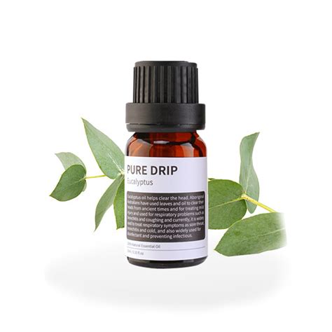 허브그립 네츄럴 아로마 에센셜 오일 유칼립투스 감도 깊은 취향 셀렉트샵 29cm