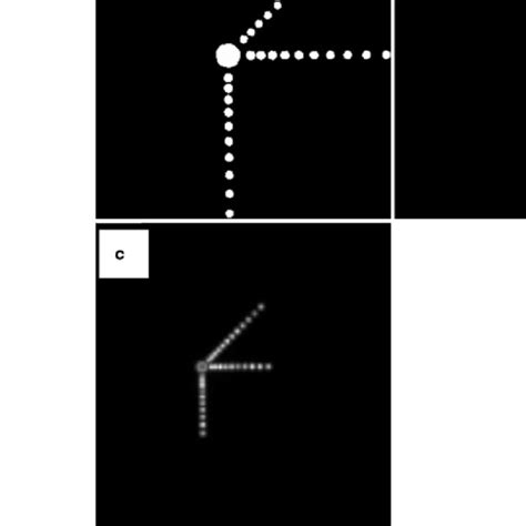 The Node Phantom Used In Gate A The Voxelized Source And Phantom Ct