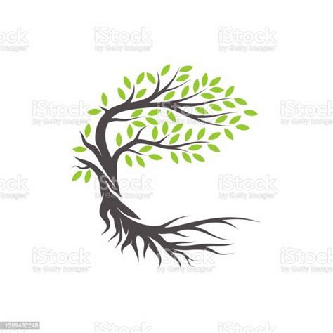 생명의 나무 오크 반얀 트리 디자인 벡터 스톡 일러스트 추상 지점 공장 부품 사업 오크 반얀 서클 교육 로고 나무에 대한 스톡 벡터 아트 및 기타 이미지 Istock