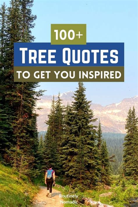 100 Beautiful Tree Quotes And Sayings Routinely Nomadic