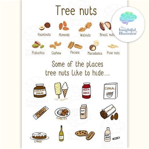 Tree Nut Allergy Warning Poster Information Sheet Teacher Babe Daycare Explain Food