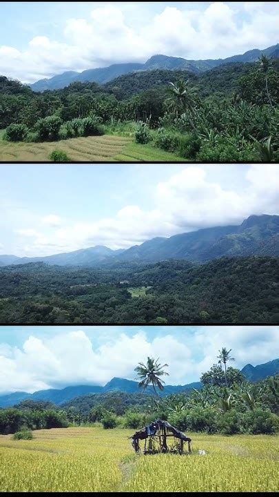 මේවගේ ලස්සන ගමක්🚓🚗🚗beautiful Village Youtube
