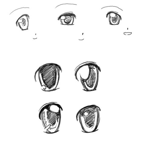 An Image Of Different Types Of Eyes And Their Features In The Drawing