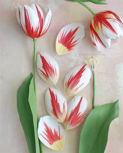 Tutorial Happy Generation Tulip Paper Design
