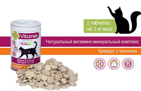 Витамины для кошек и котов: необходимы ли они животному?