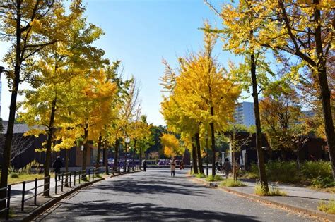 快晴の大阪城11月21日 nobotan 1451のブログ