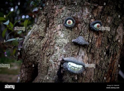 Tree Trunk Eyes Nose Mouth Hi Res Stock Photography And Images Alamy