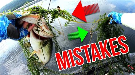 Top 5 Fishing Mistakes To Avoid My Fishing Products