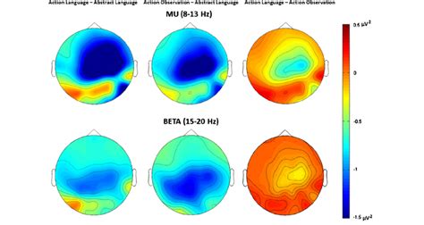 Scalp Distribution Of The Oscillatory Rhythms In The 813 Hz Frequency Download Scientific