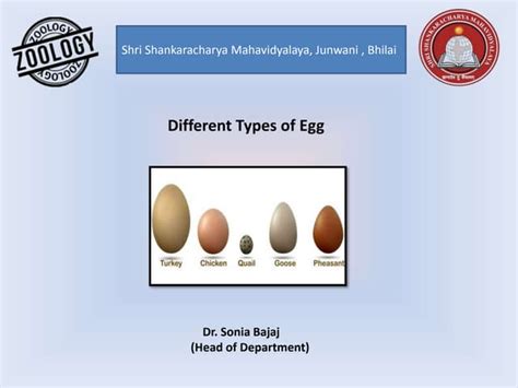 Types Of Egg Classification Of Eggs Structure Of Frog Egg Structure