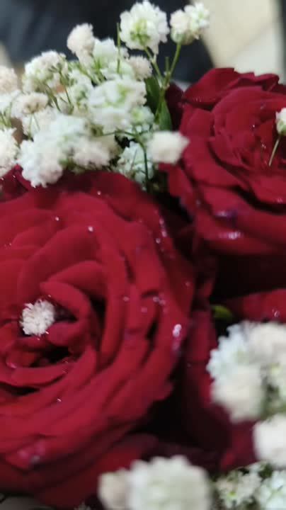 Janhavi Dalvi On Linkedin Food And Beverage Presentation At Frankkfin