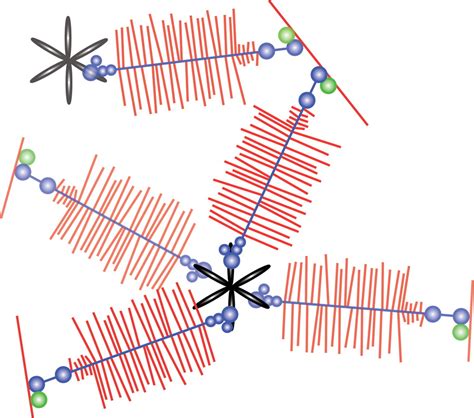 Proteoglycan Aggregate