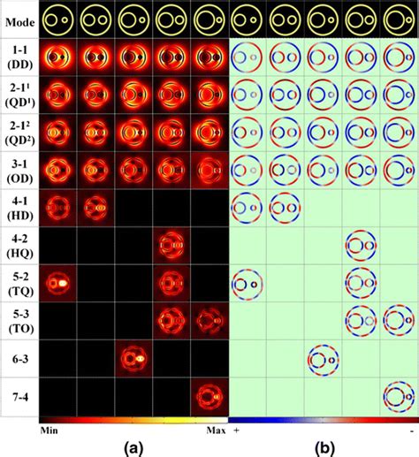The Electric Field Distributions A And Electric Charge Distributions