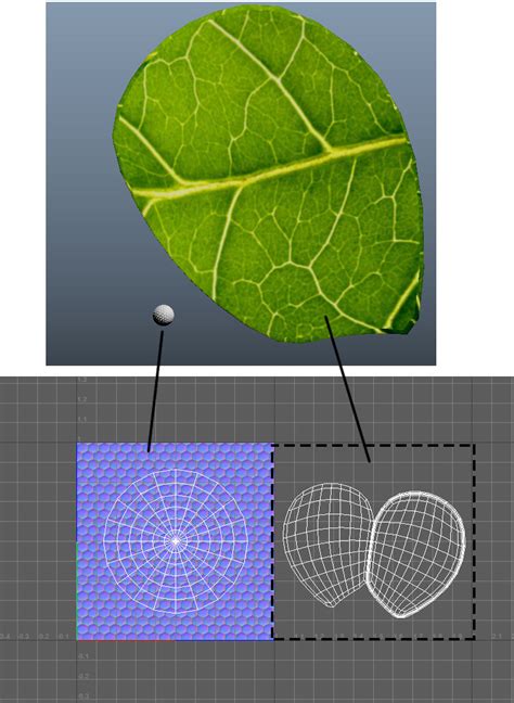 solved maya 2017 how to see texture in editor on 1 1 space autodesk