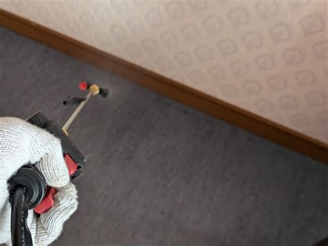 【常滑市】ダニ駆除工事｜一軒家を隅から隅まで 害虫・害獣・害鳥駆除のプロ｜愛知県常滑市のイチニホーム