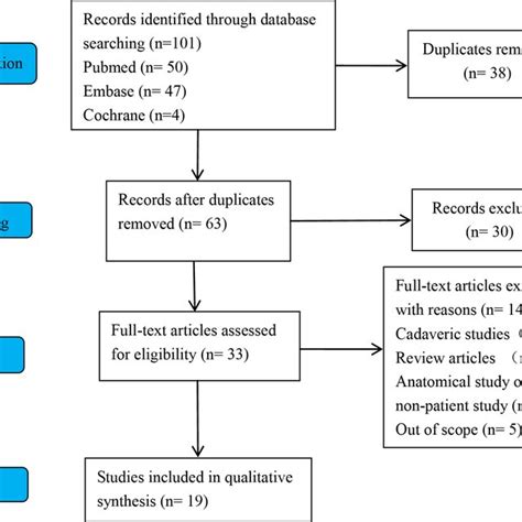 Systematic Review Flow Diagram Download Scientific Diagram