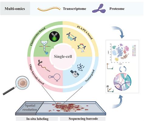 恭喜博士生何立勇关于单细胞转录组和蛋白质组整合技术的综述发表于view（ 10 1002 Viw 20230040） 课题组新闻 赵祥伟教授实验室