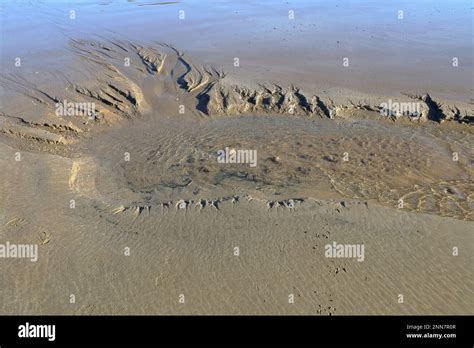 A Point In The Sands Where A Natural Spring Of Fresh Water Rises At Low