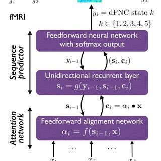 Smri And Dynamic Fmri Features Used As Input And Output Of The
