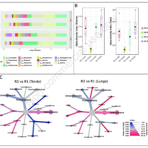 Results Of Metabarcoding Analysis Of Rhizosphere Samples A Stacked
