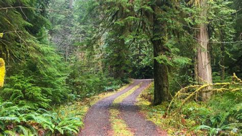 Olympic National Forest Camping Rules Boondocker S Bible