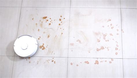 Switchbot K Mini Robot Vacuum Review The Good And Bad