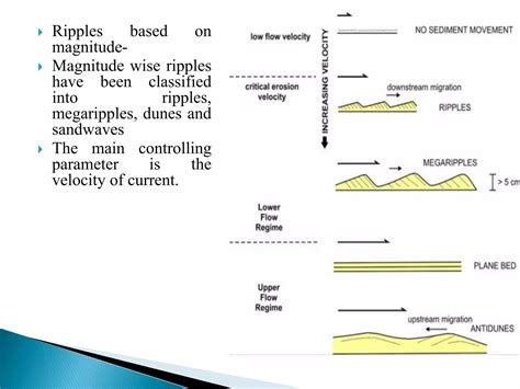 RIPPLE MARK.pptx