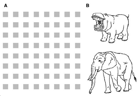 The Centrally Presented Visual Stimuli Used In The Task A We Derived