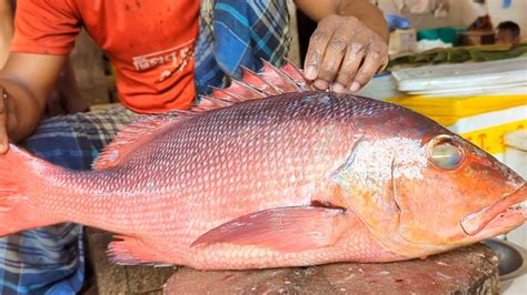 Incredible Giant Red Snapper Fish Cutting Skills In Bangladesh Fish