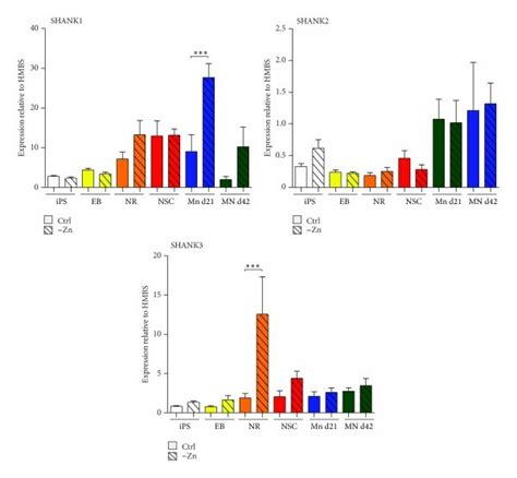 Zinc Deficiency Alters The Expression Of Zinc Homeostasis Genes During