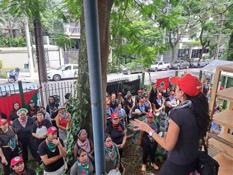 Dia De Luta Mulheres Vão às Ruas De Todo O País Direitos Humanos