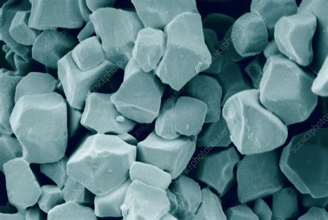 Rice Starch Granules Stock Image B1000057 Science Photo Library