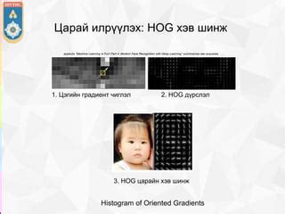 Face Recognition With Deep Neural Network PPT