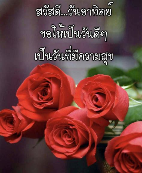 ปักพินโดย ตำลึง ริมรั้ว ใน สวัสดีทุกวัน สุขสันต์วันอาทิตย์ ฝันดี