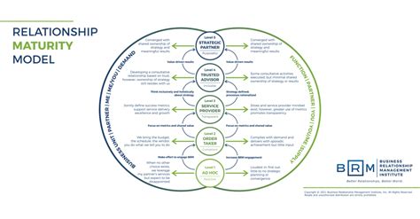Business Relationship Manager Brm Metrics Brm Institute