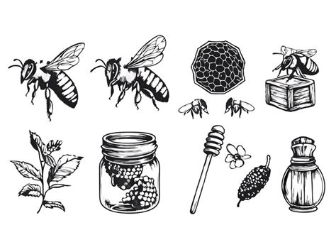 A Drawing Of Bees And Honey Bees By A Jar Premium Ai Generated Vector