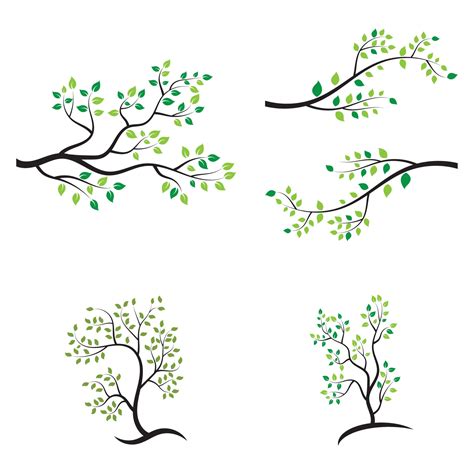 Tree Limb Vector Art Icons And Graphics For Free Download