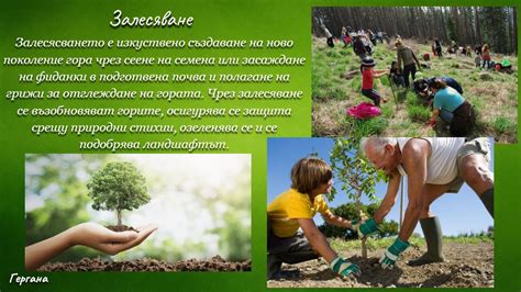 Мерки за опазване на биоразнообразието Зелена зона