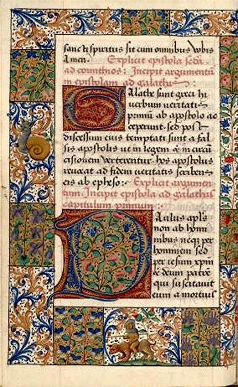Shukernature Medieval Snail Cats In Illuminated Manuscripts Or