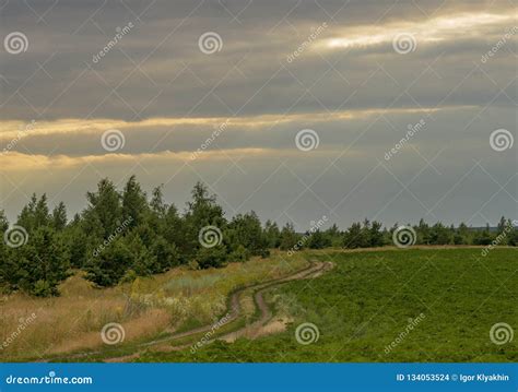 Summertimesunny Summer Landscape With Ground Country Road Passing