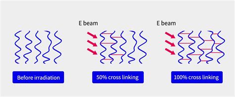 Understanding Different Types Of Crosslinking In Polymers Ebm Machine