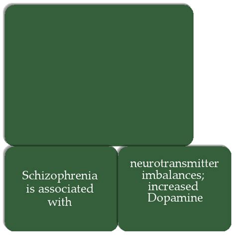 Schizophrenia Match The Memory
