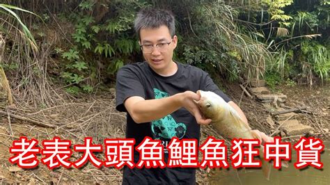 【石頭記事】今天帶上老表去山塘釣魚，大頭魚鯉魚接連中貨，這運氣太棒了 Youtube