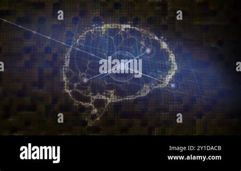 Interconnected Nodes Forming Digital Brain Neural Network Animation