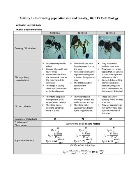 Solution Activity 1 Estimating Population Size And Density Bio 115