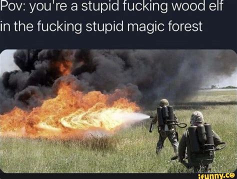 Pov You Re A Stupid Fucking Wood Elf In The Fucking Stupid Magic