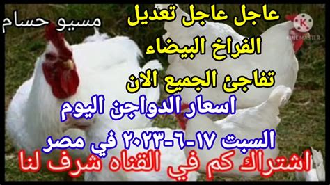 اسعار الفراخ البيضاء اليوم اسعار الدواجن اليوم السبت ١٧ ٦ ٢٠٢٣ في مصر