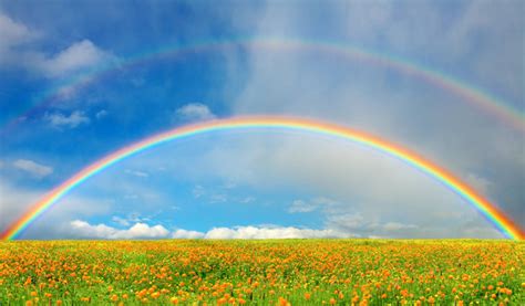 Rainbow Images Browse Stock Photos Vectors And Video Adobe Stock